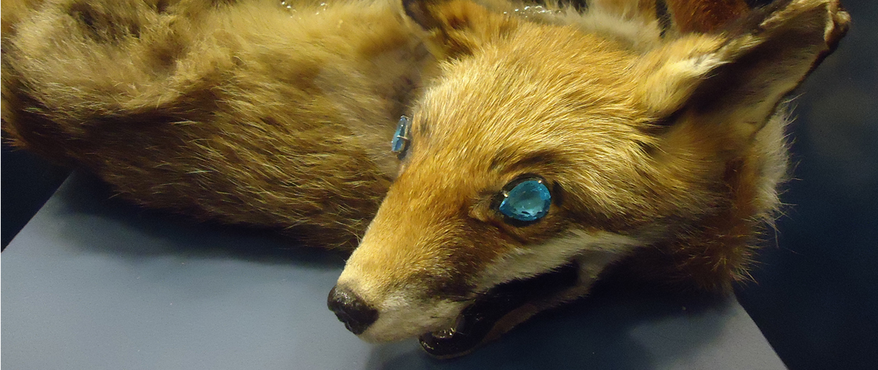 Dode-dieren-design - Mister Motley