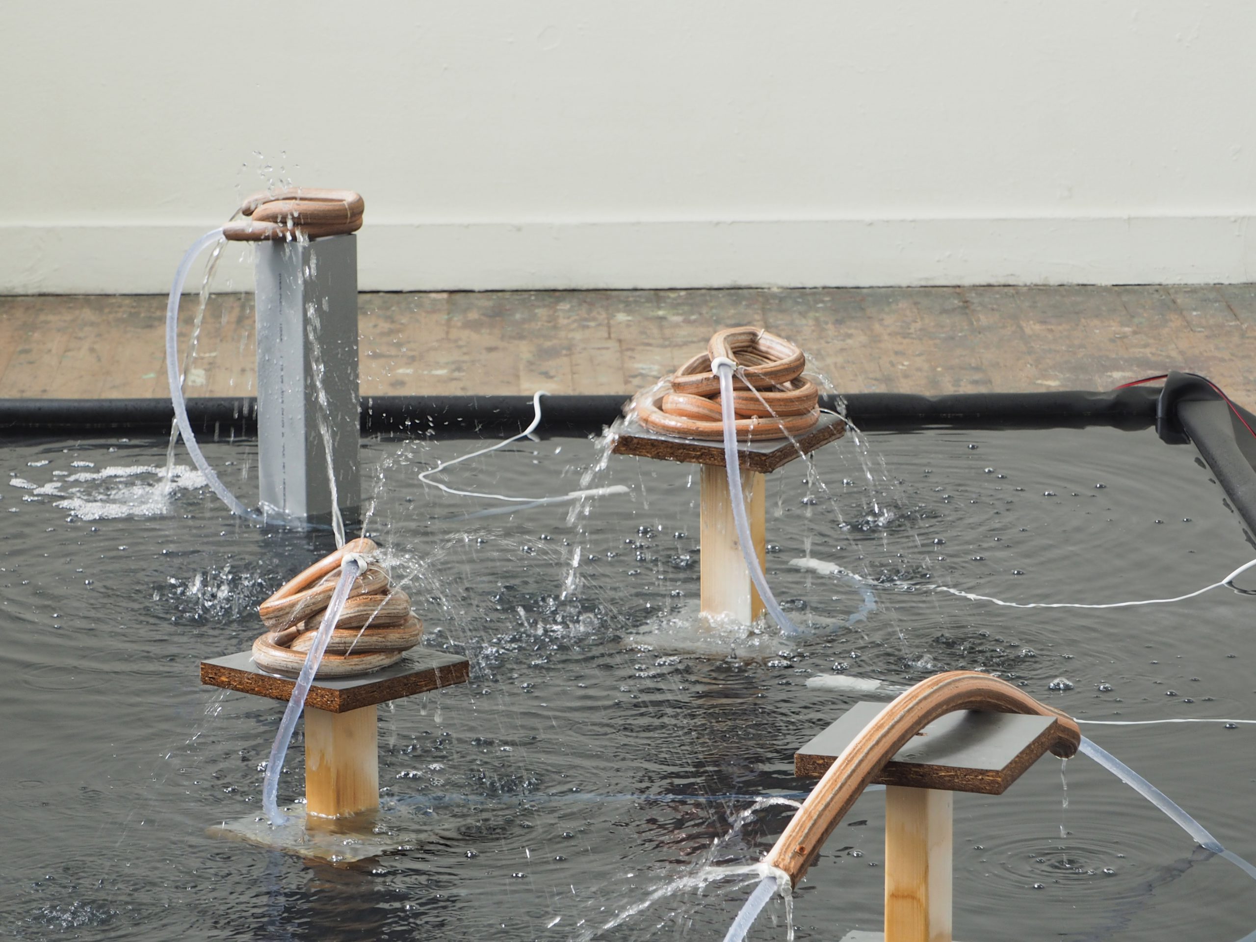 GRADUATION SPECIAL : Freerk Wilbers - Mister Motley