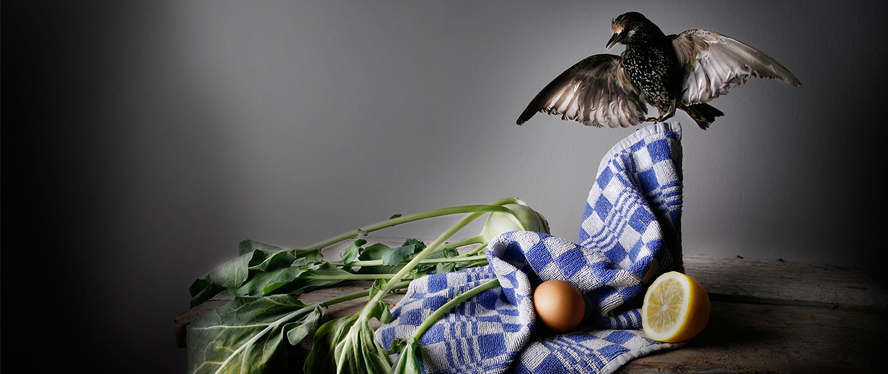 Stillevens als surrealistische kijkdozen - Mister Motley